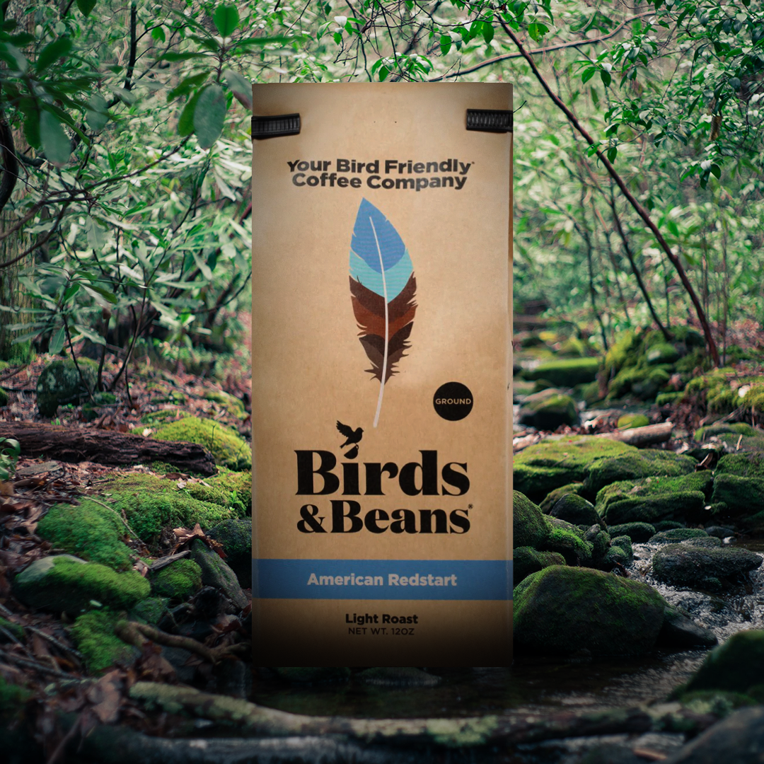 Birds & Beans Wholesale – Birds & Beans Wholesale